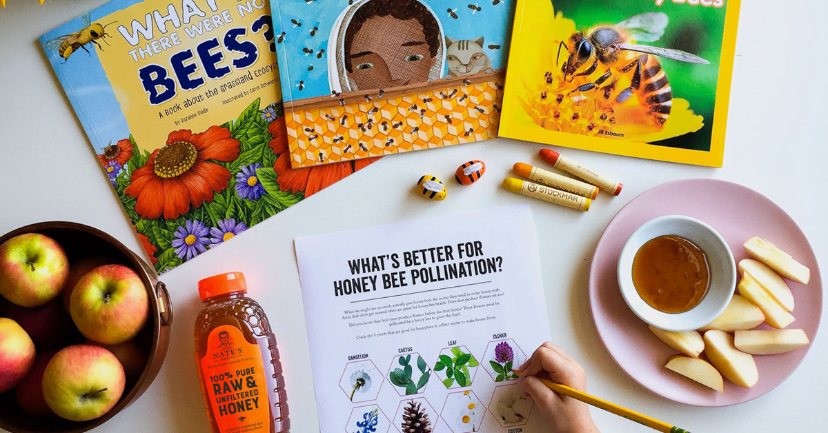 Long Live the Bees Free-Bee Lesson Plan for Teachers